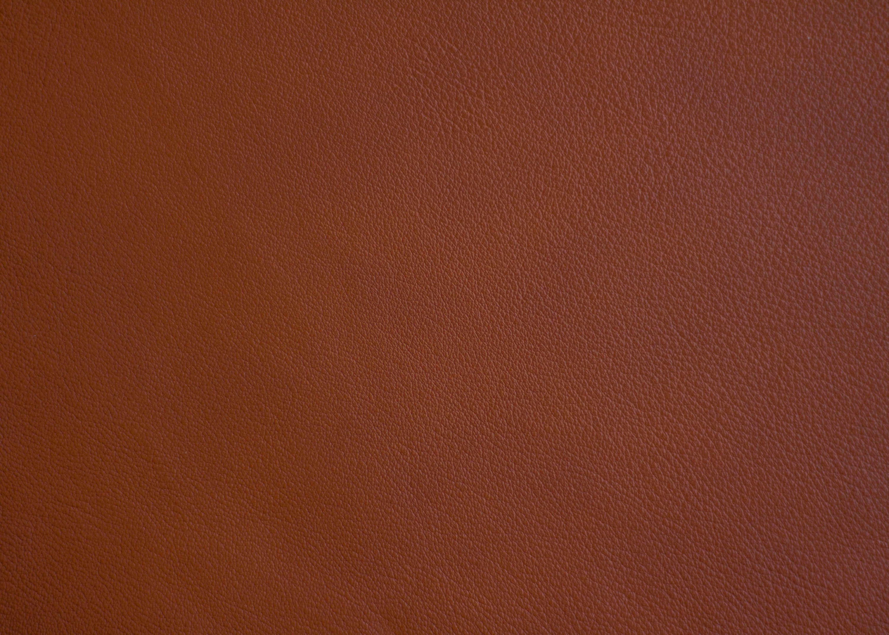 Collections – Tiger Leather