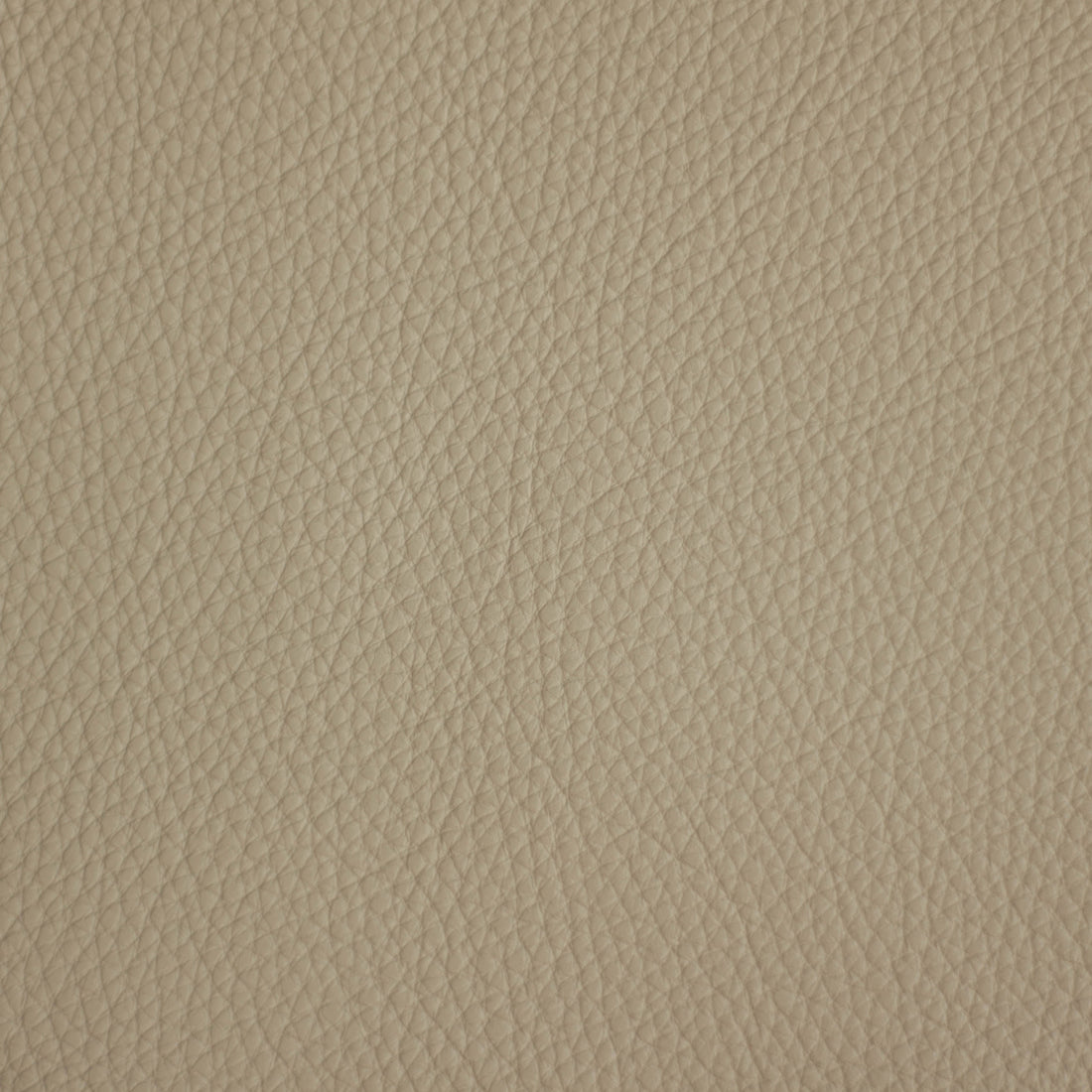 Cityscape Fawn – Tiger Leather