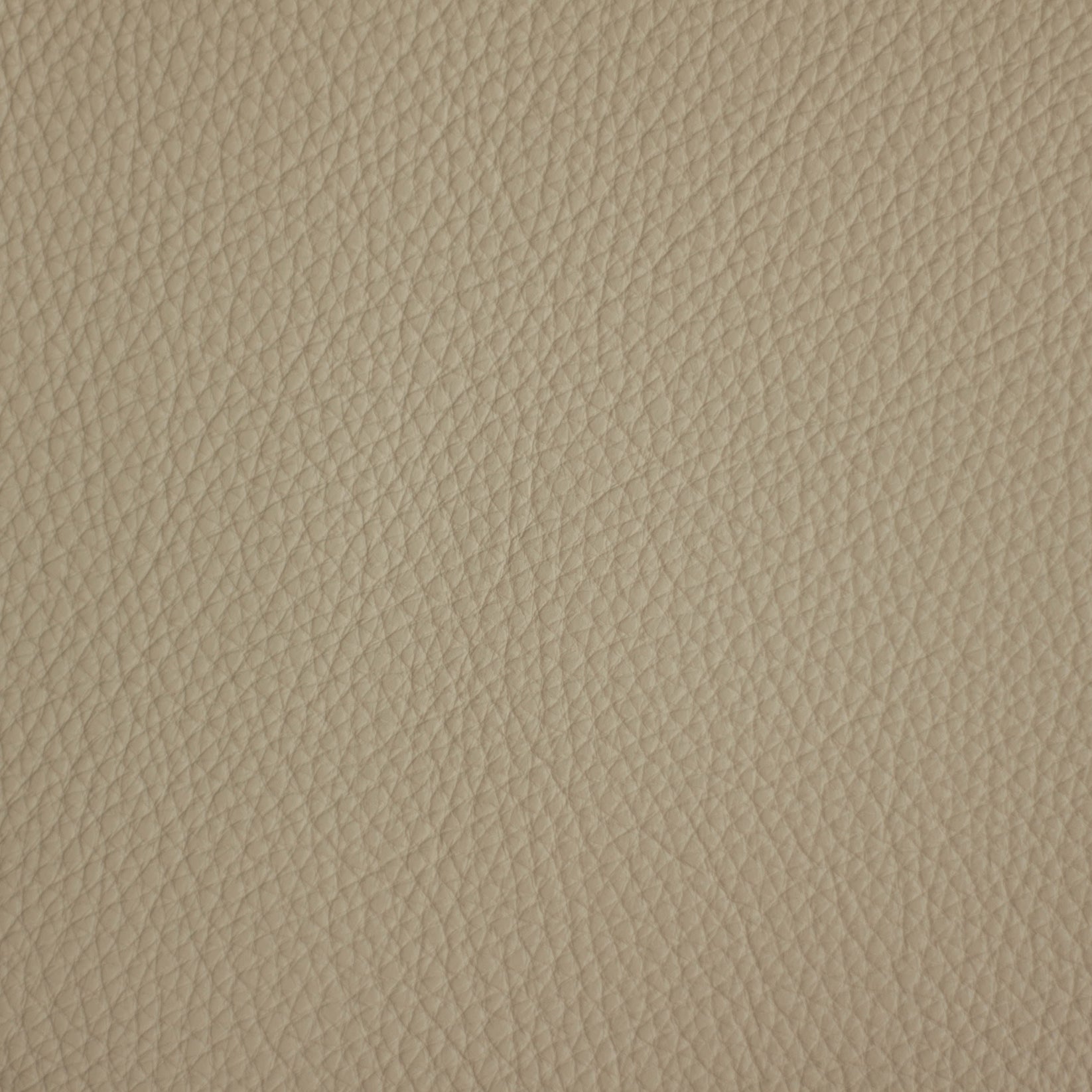 Cityscape Fawn – Tiger Leather