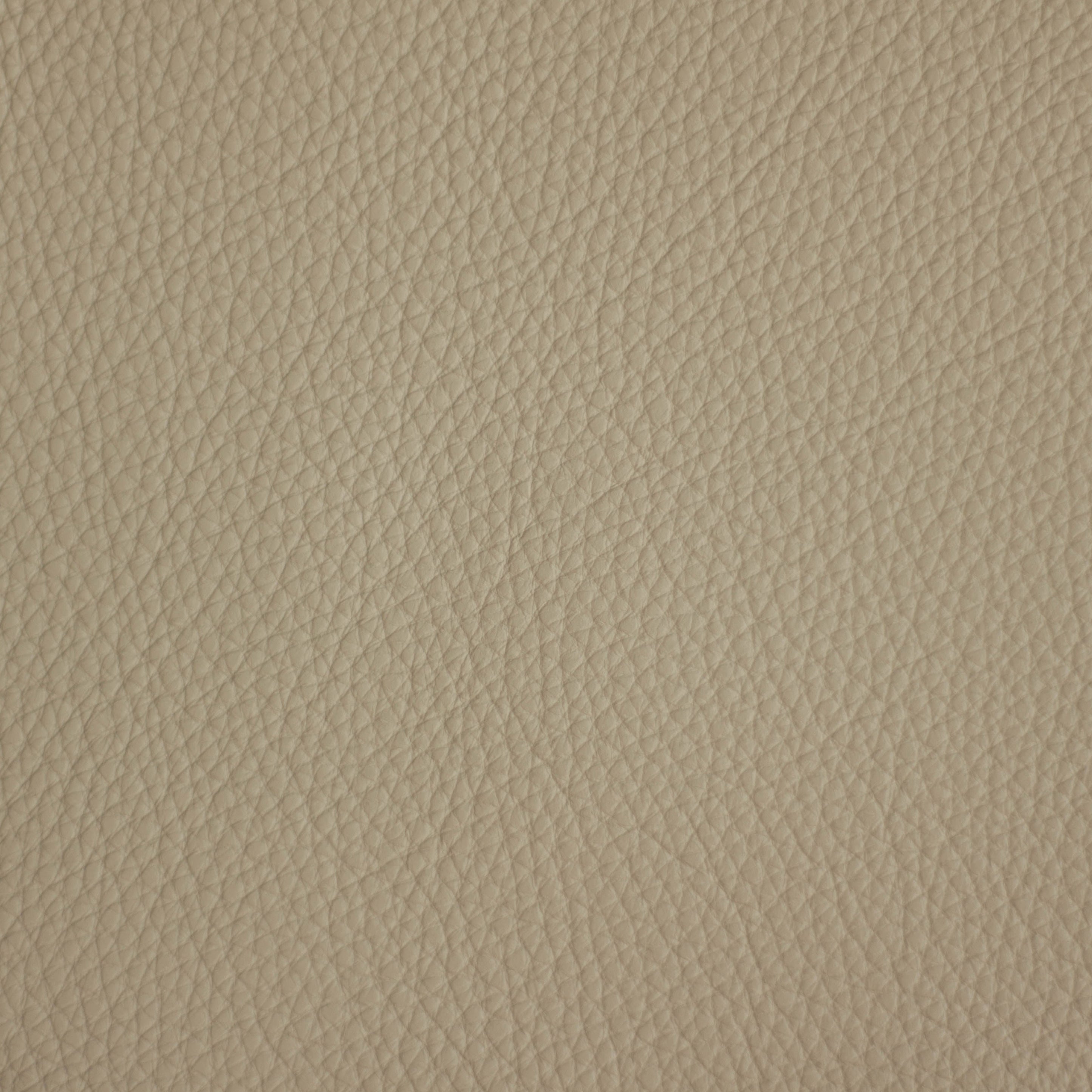 Cityscape Fawn – Tiger Leather