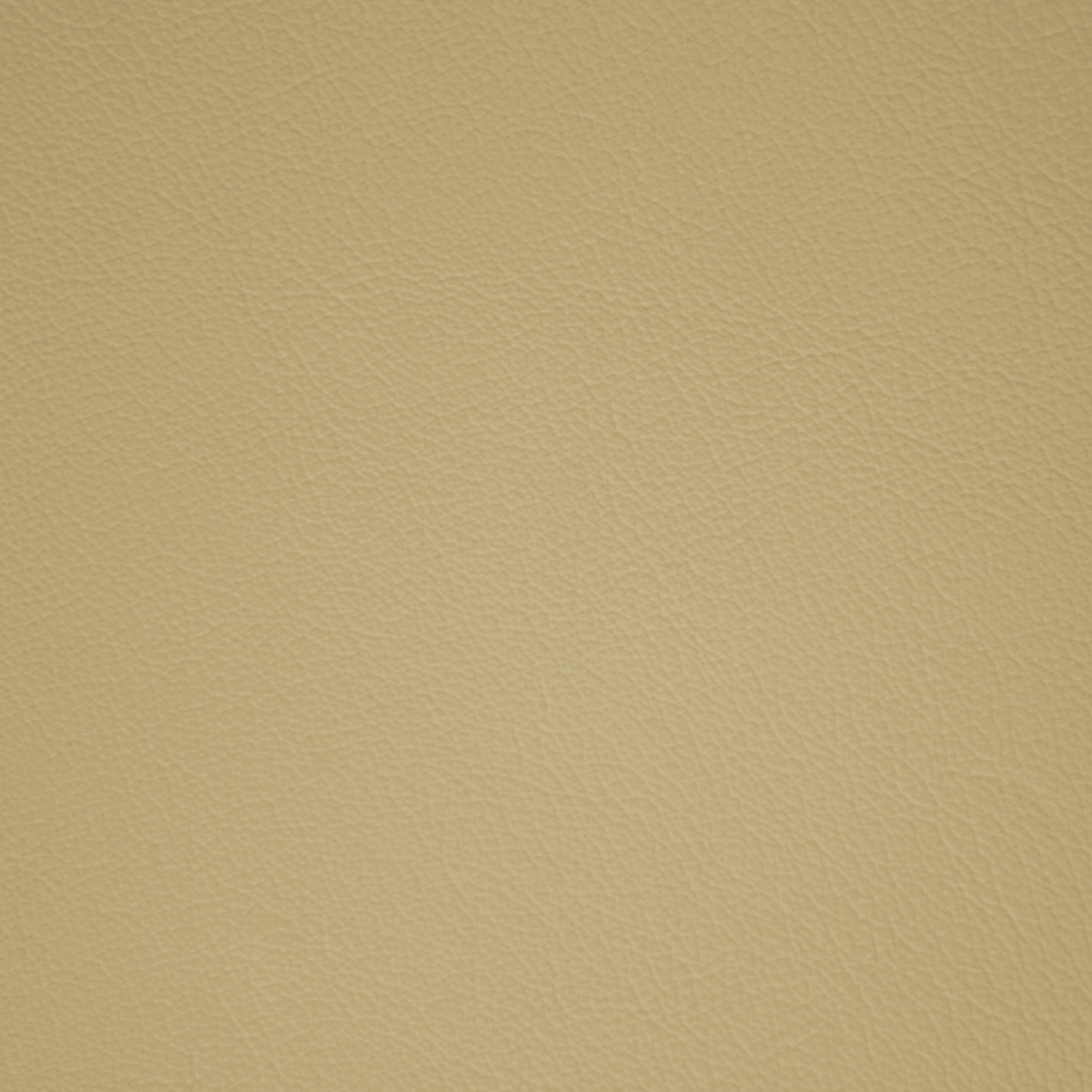 Diva Aspen – Tiger Leather
