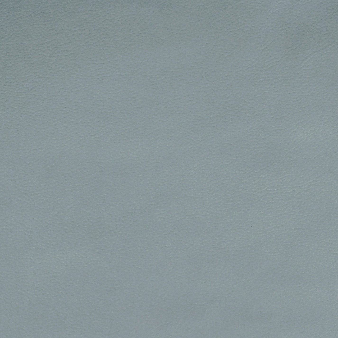 Diva Baby Blue – Tiger Leather