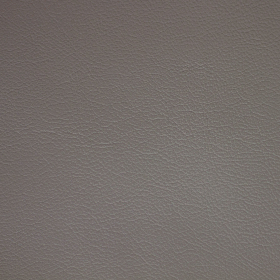 Diva Modesty – Tiger Leather