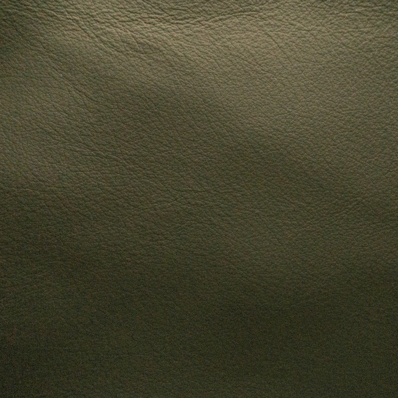 Empire Envy – Tiger Leather