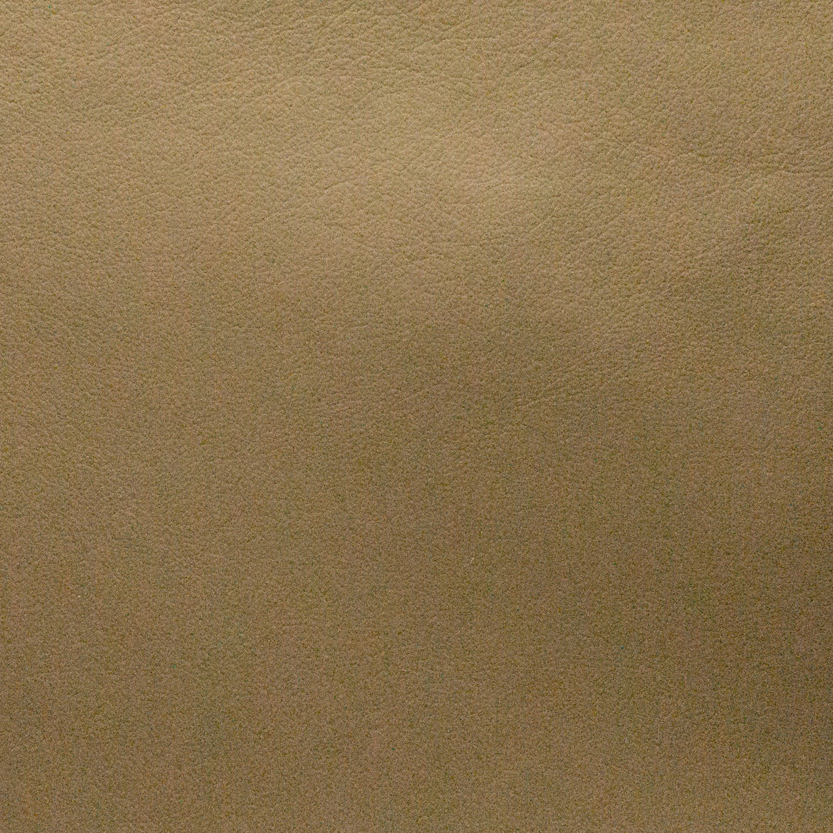 Empire Mamba – Tiger Leather