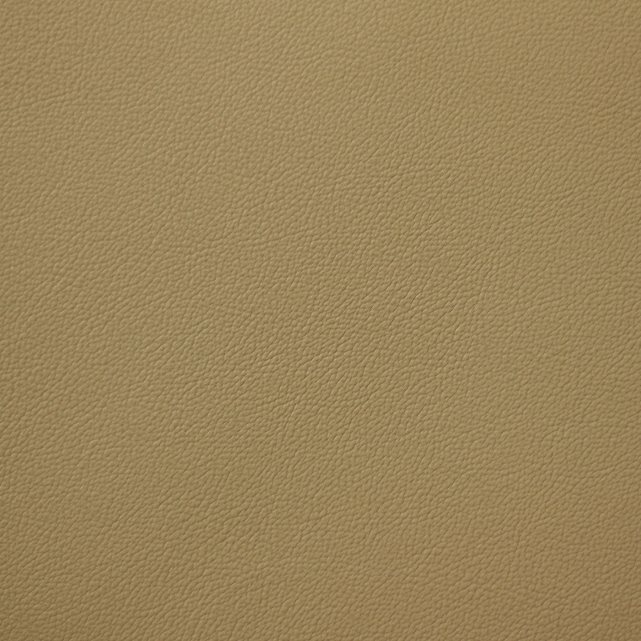 Empire Walkabout – Tiger Leather