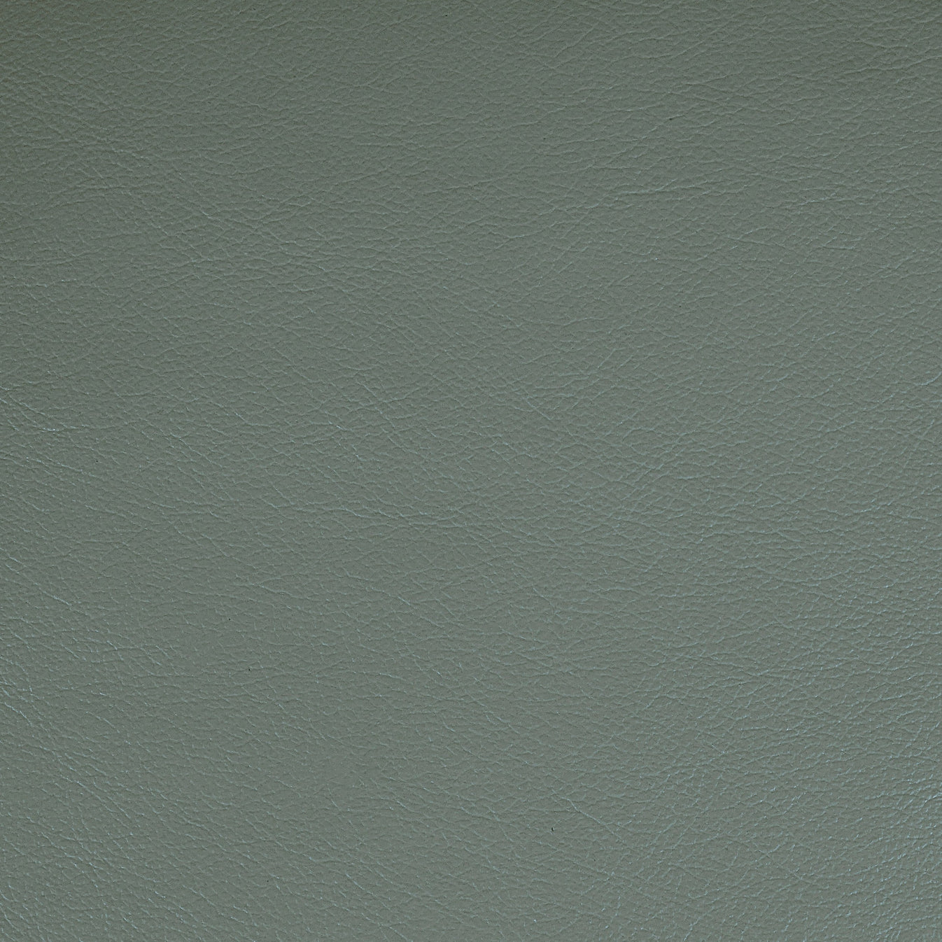Kismet Catalina – Tiger Leather