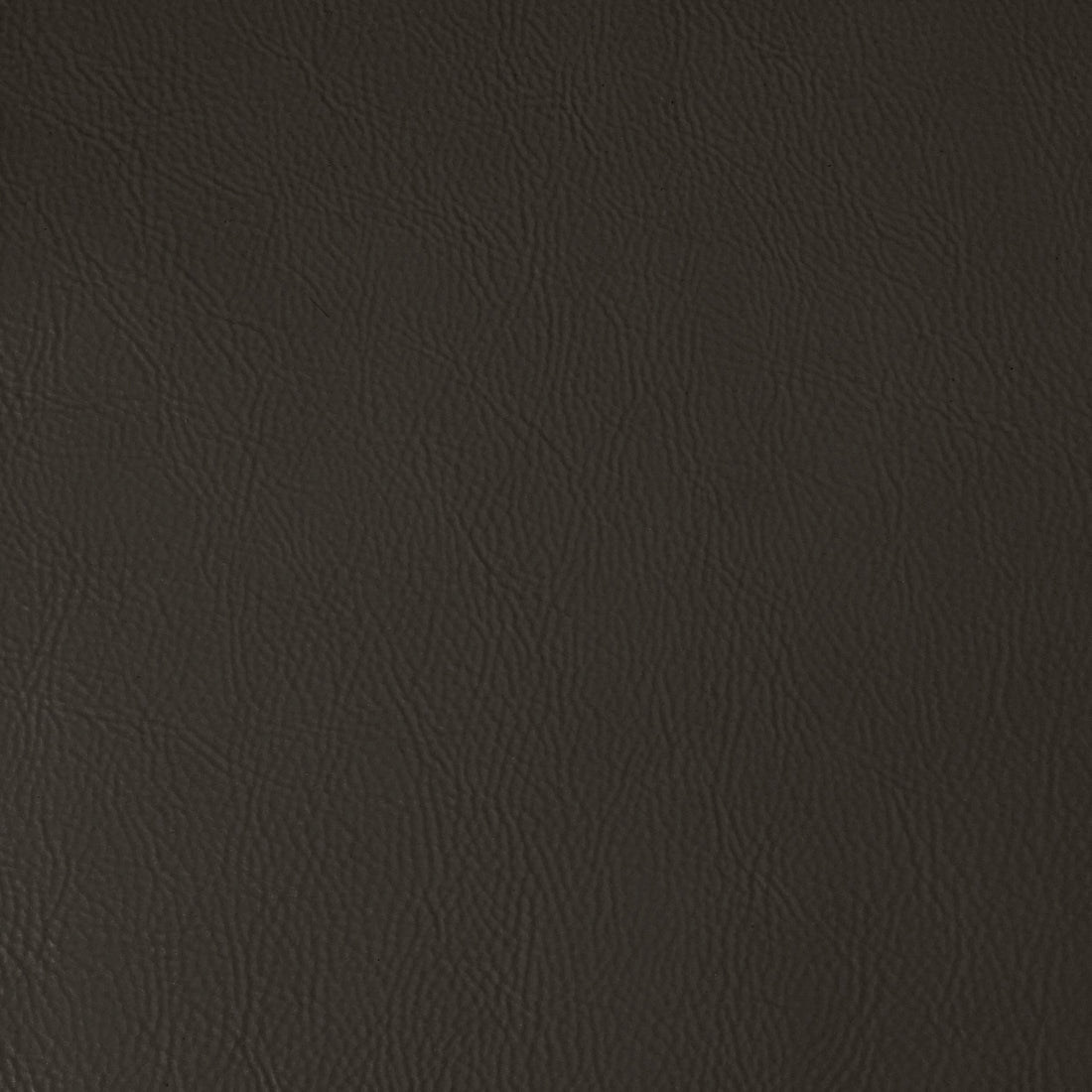 Liquid Slate – Tiger Leather