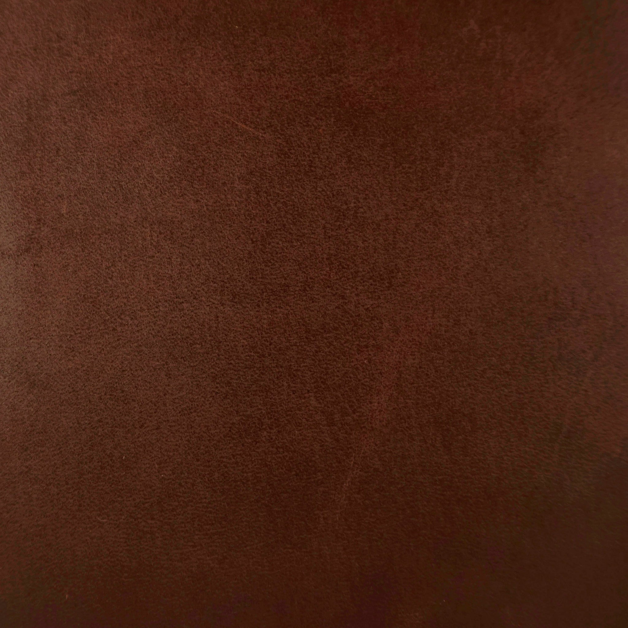 Mojave Red Racer – Tiger Leather