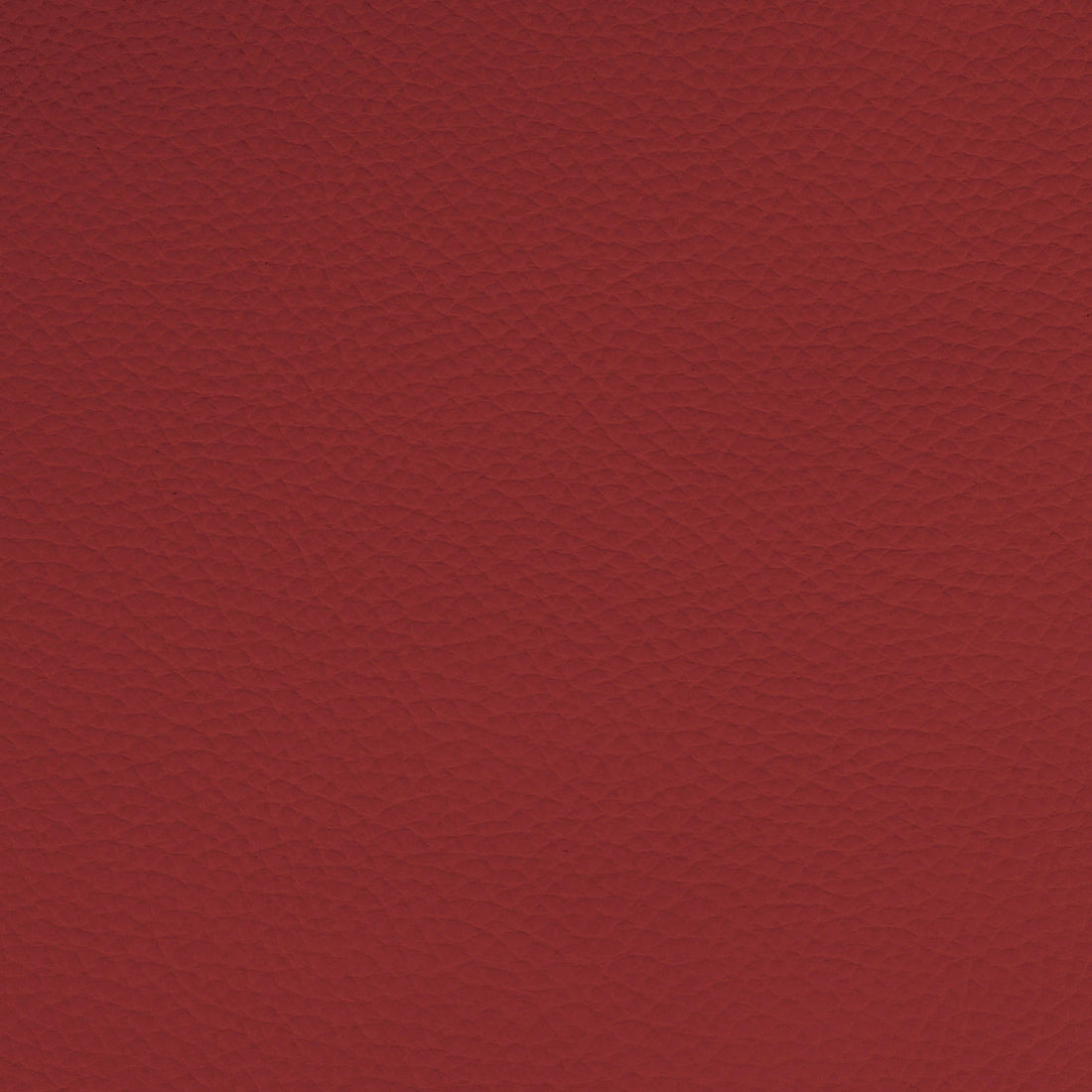 Mystique Cardinal – Tiger Leather