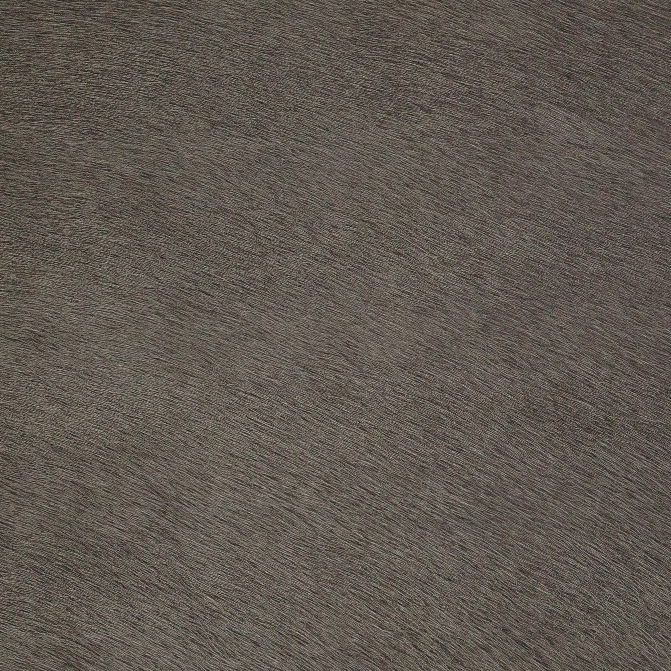 Opaline Gargoyle – Tiger Leather