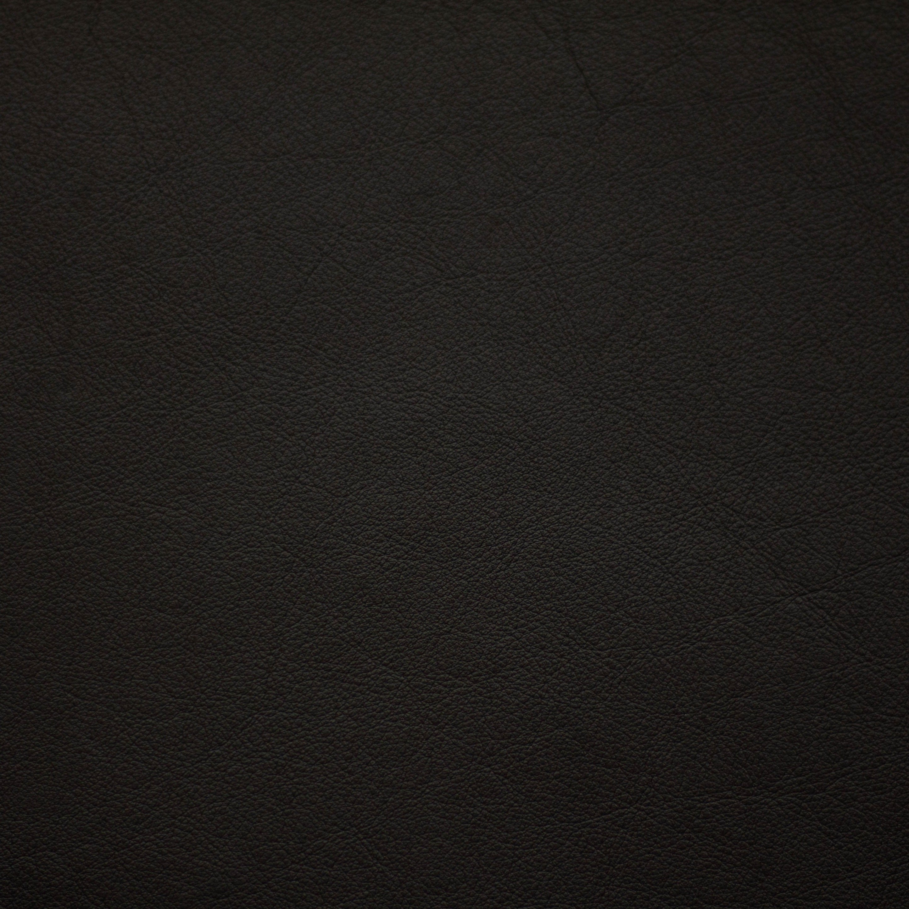 Renaissance Nightcap – Tiger Leather