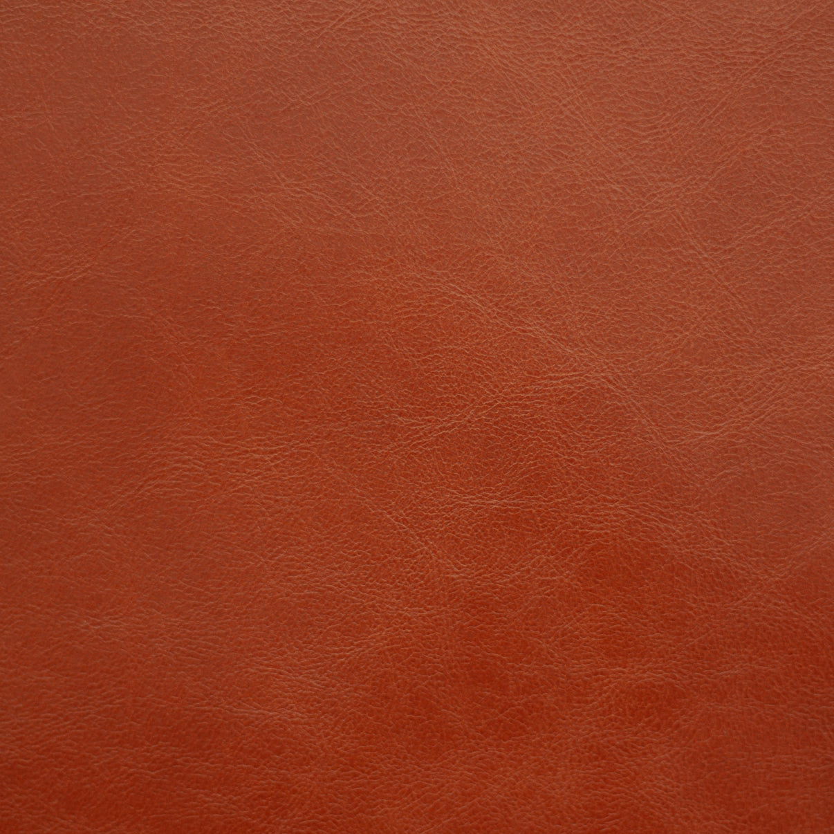 Sierra Terracotta – Tiger Leather