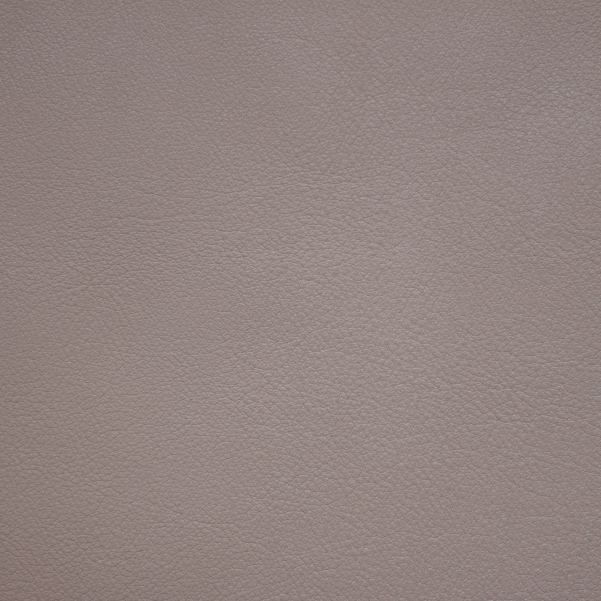 Urbane Pale Grey – Tiger Leather