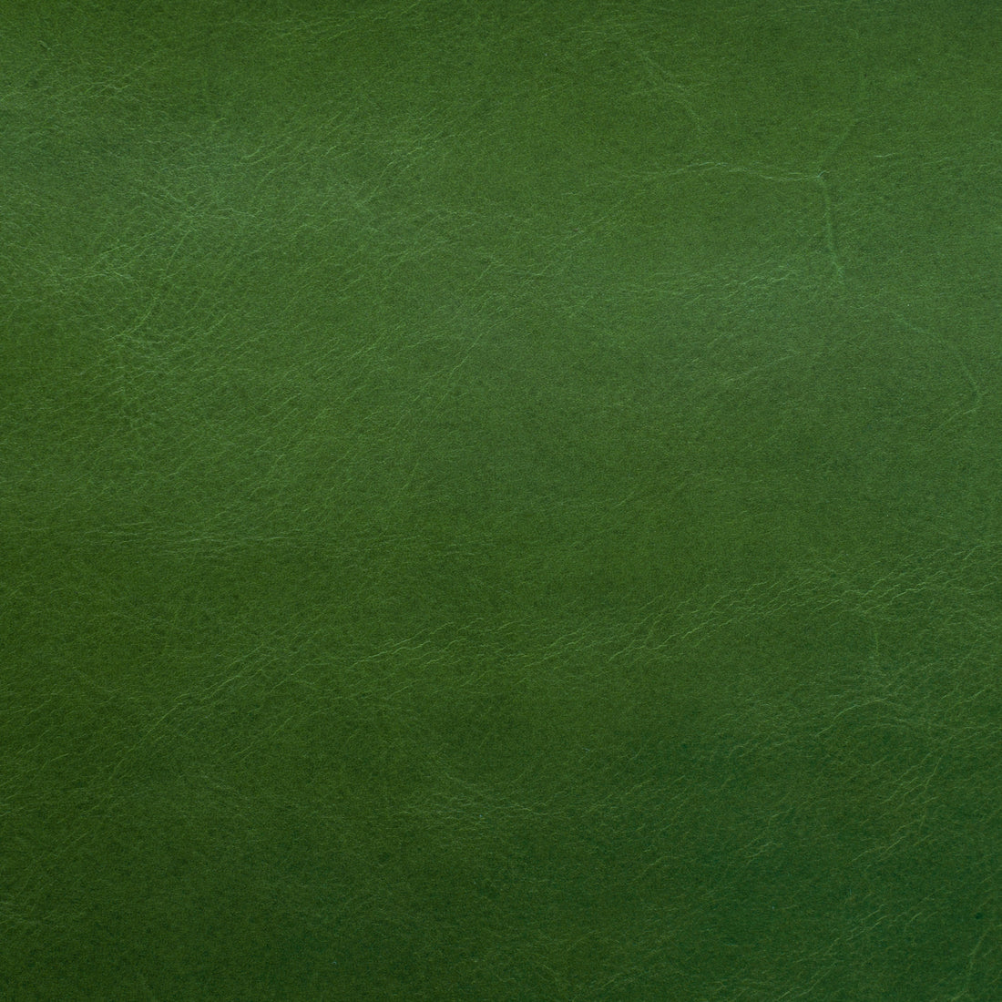 Yukon Spruce – Tiger Leather